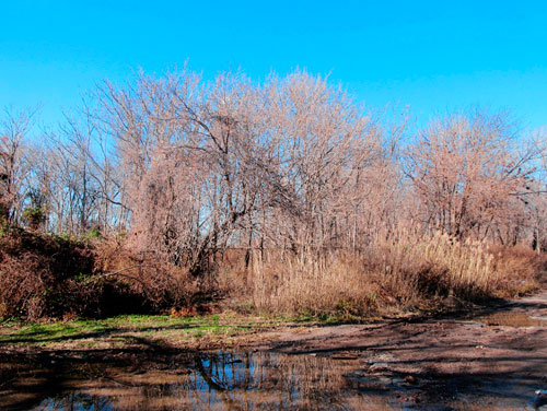 Locust Point community fights proposed zoning variance for five new ...