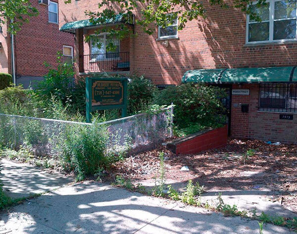 Vacca team cleans abondoned property – Bronx Times