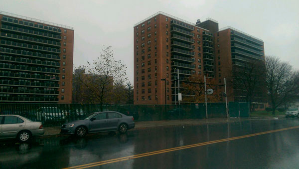 Jamie Towers sees higher fees, but worsening conditions – Bronx Times