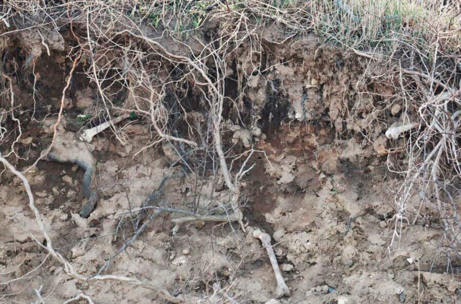 Hart Island touchstone advocates will finally place their bereavement ...