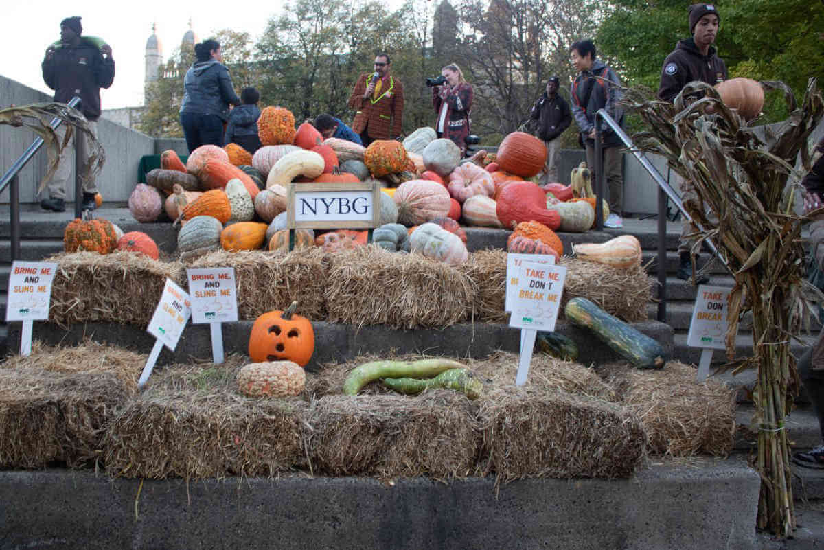 BT Weekender: Five things to do in the Bronx this weekend – Bronx Times