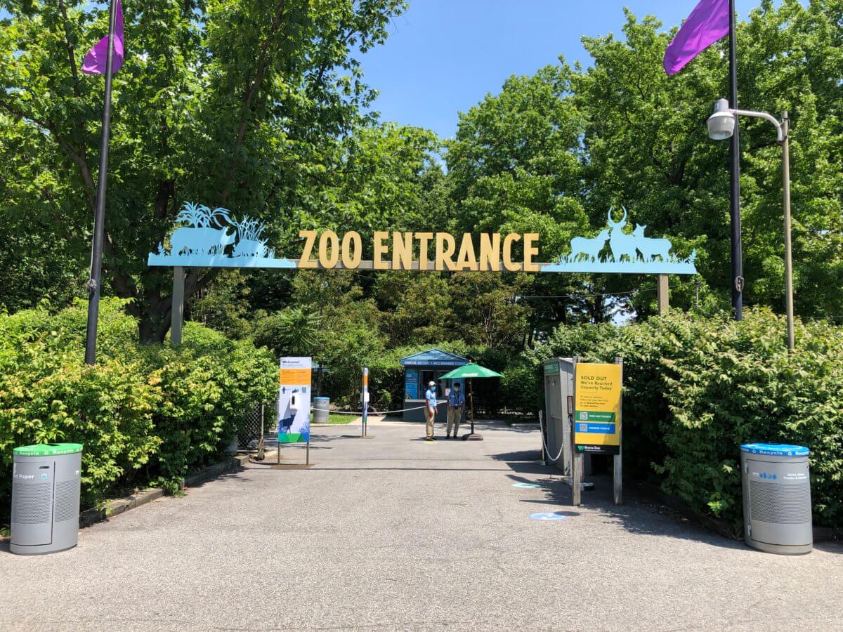 Bronx Zoo, NY Botanical Garden and Wave Hill all set for reopening ...