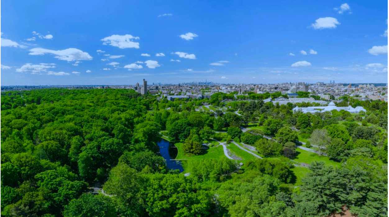Things to do in the Bronx | Local Events