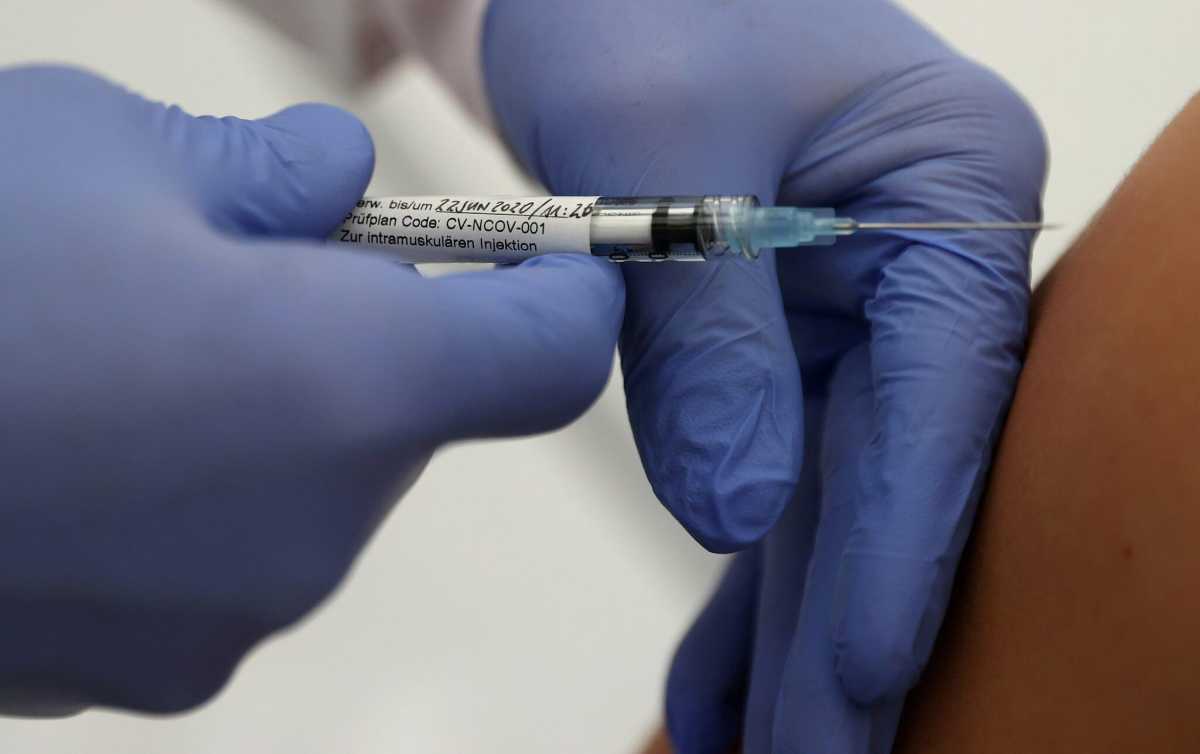 COVID-19 vaccine hubs opening in south Bronx, other boroughs this ...