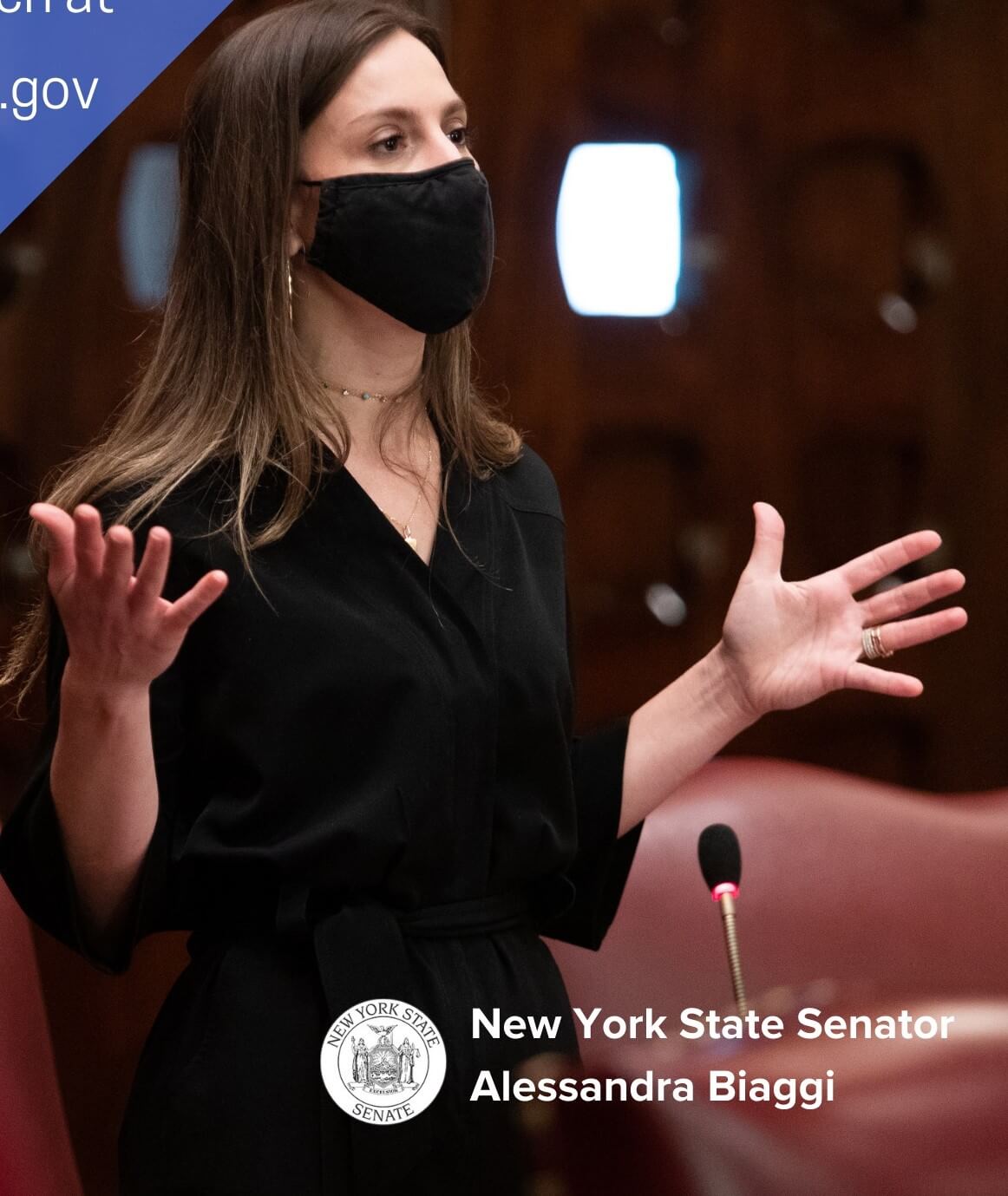 Biaggi introduces bill to expand MTA bike and pedestrian access – Bronx ...