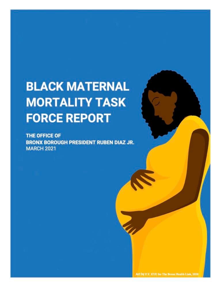 BP Diaz releases Black Maternal Mortality Task Force Report – Bronx Times