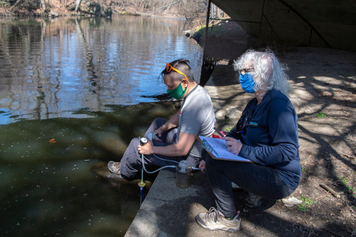 NYC Parks, Bronx Zoo, NYSDEC & Partners add Alewife fish to Bronx River ...