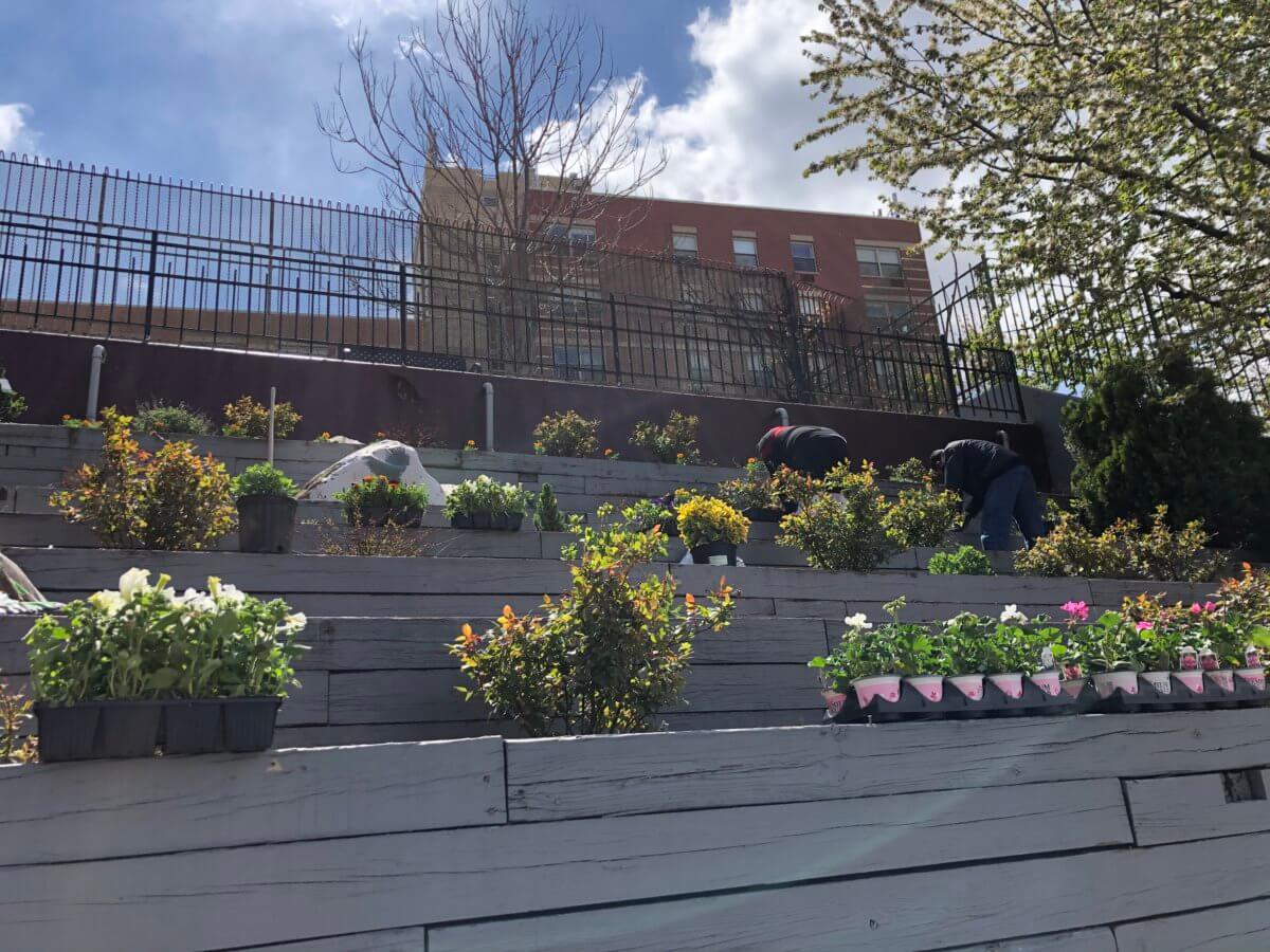 PHOTOS: Men recovering from addiction cultivate ‘Healing Garden’ for ...