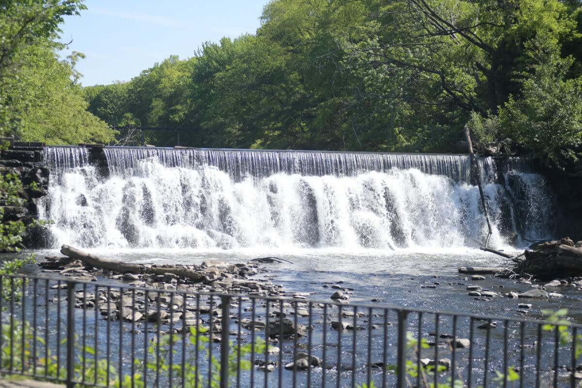 Parks and the Bronx River Alliance celebrate river revitalization at ...