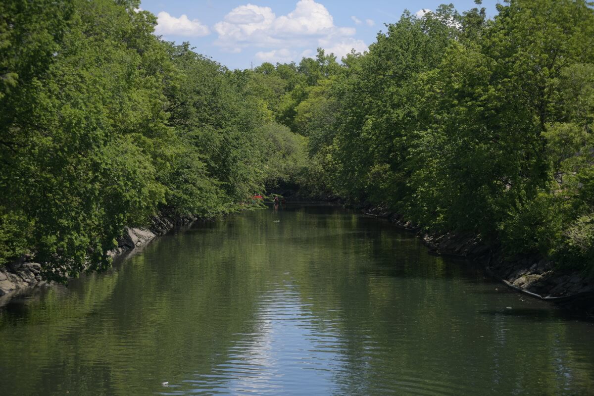 Parks and the Bronx River Alliance celebrate river revitalization at ...