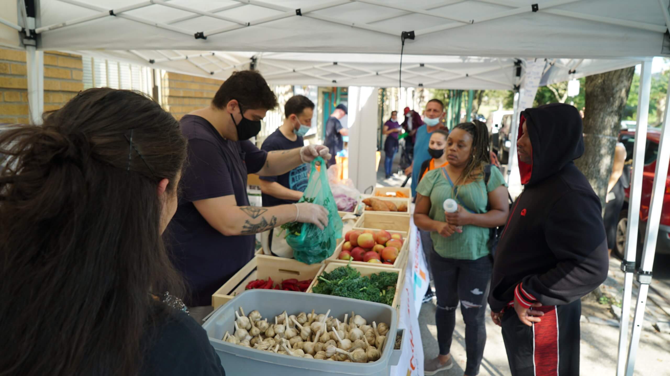 Foodstream Network launches free pop-up farmers market for Bronx ...