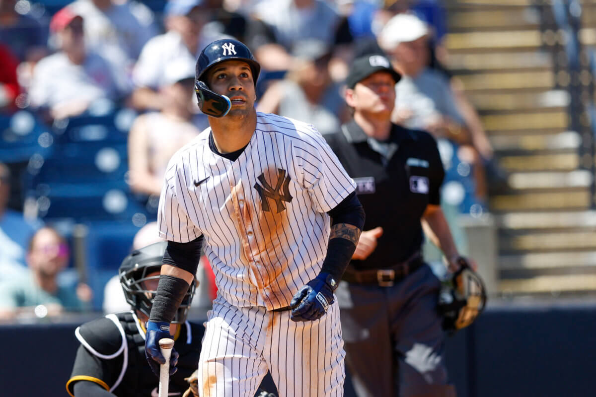 Not so purrfect: Animal advocates react to Yankees cat – Bronx Times