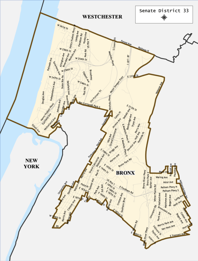 State Senate District 33 candidate profile: Miguelina Camilo – Bronx Times