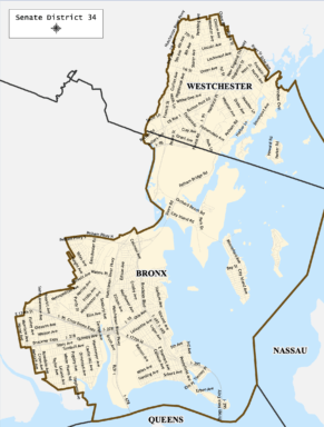 State Senate District 34 candidate profile: Nathalia Fernandez – Bronx ...