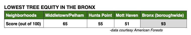 Fixing tree equity, access in New York’s greenest borough at the root ...