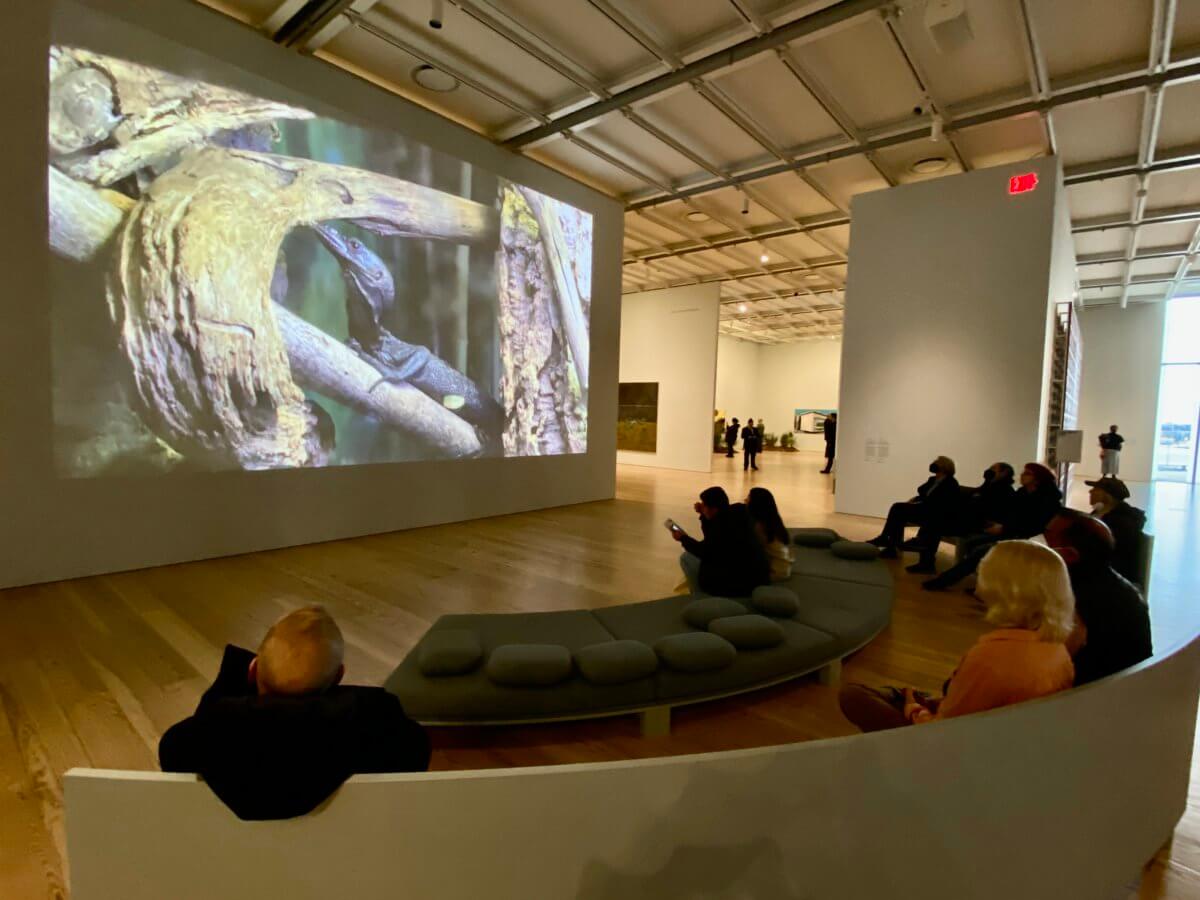 Puerto Rican art exhibit at the Whitney highlights life after Hurricane ...