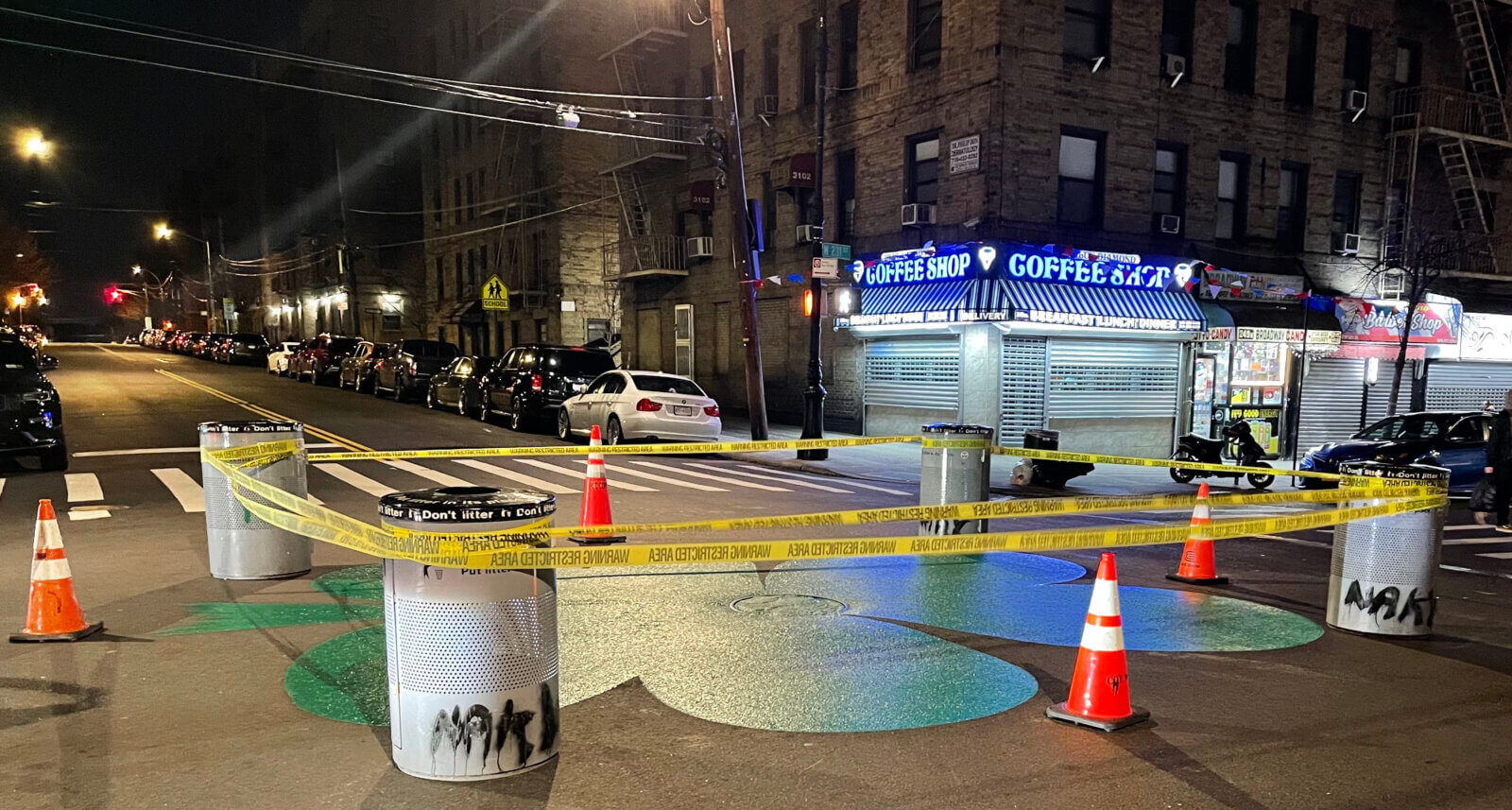 Did You Know? | The origin of Irish shamrocks around the Bronx – Bronx ...