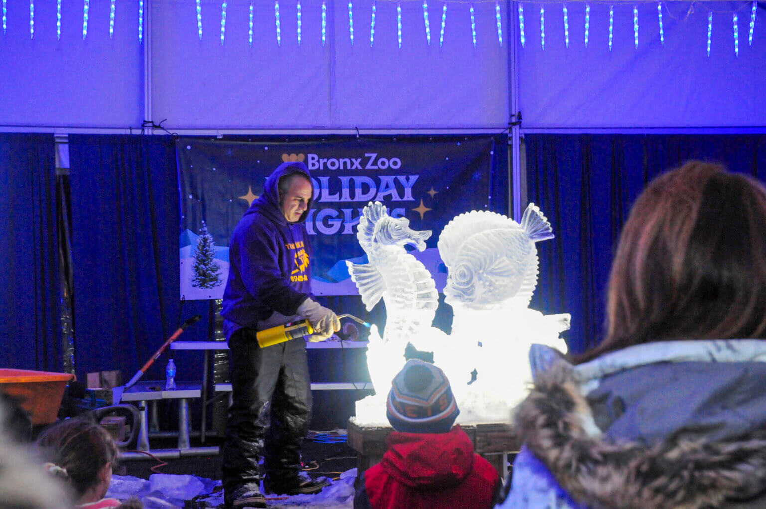 PHOTOS | Holiday Lights brings seasonal cheer to the Bronx Zoo – Bronx ...