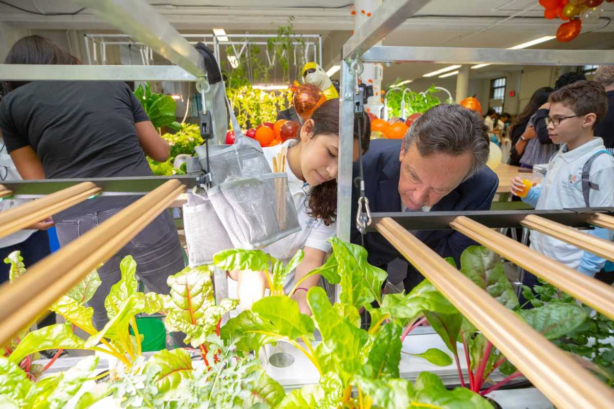New green classroom brings hydroponic lab to The Bilingual School in ...