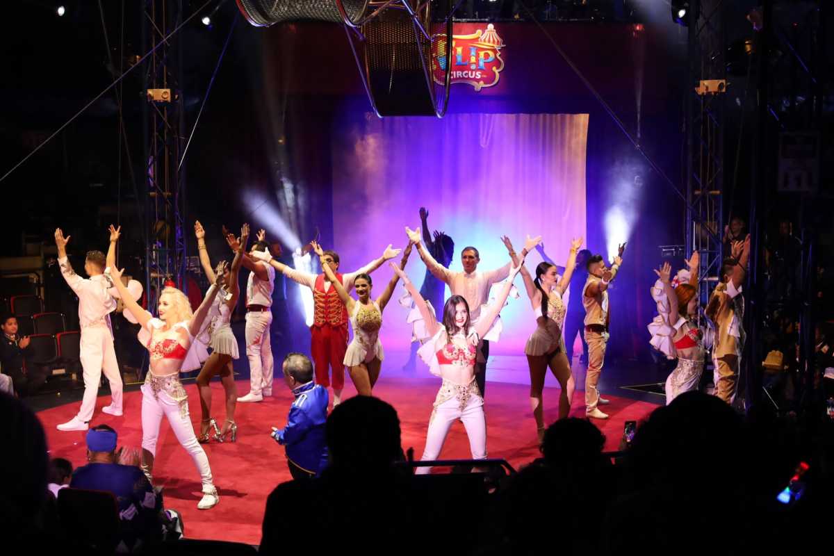 What’s happening | circuses, shows, trivia nights and more – Bronx Times