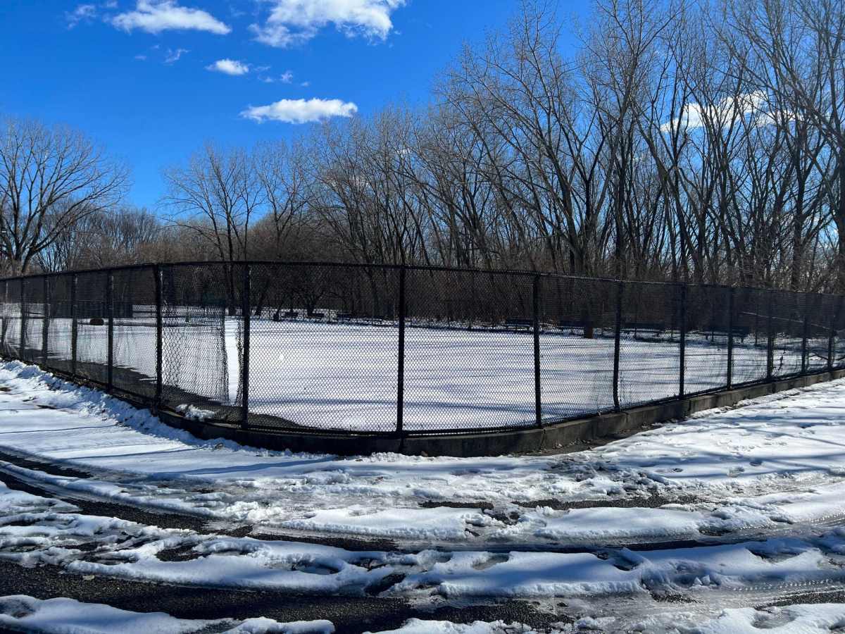 Skateboard legend Tony Hawk’s nonprofit to bring revamped skate parks ...