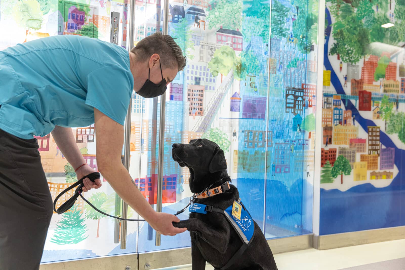 Black Labrador joins team in helping young patients at Children’s ...