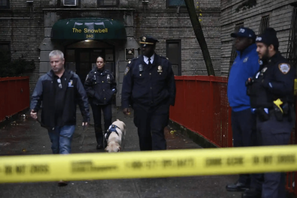 Bronx mother charged with murder after allegedly killing her 5-year-old ...