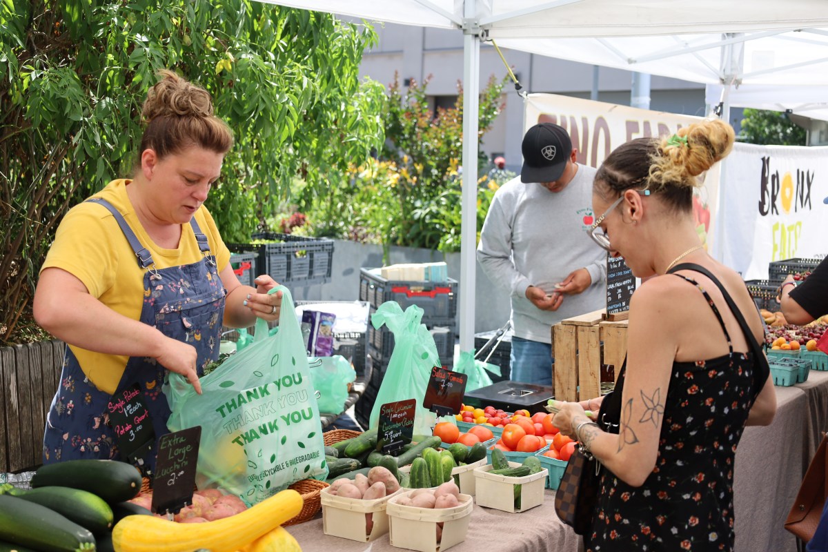 Brand-new farmer’s market hits Fordham Plaza – Bronx Times