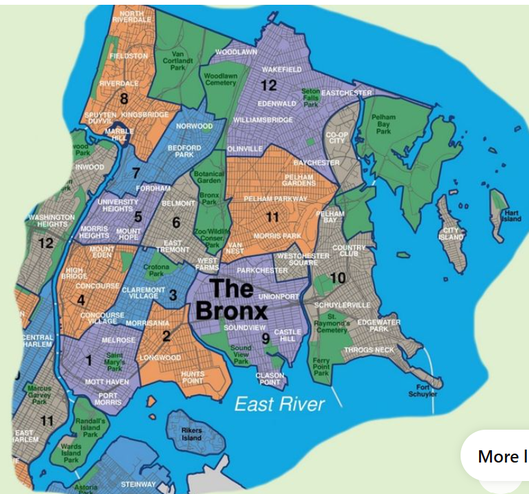 Bronx Borough President Gibson launches community board recruitment ...