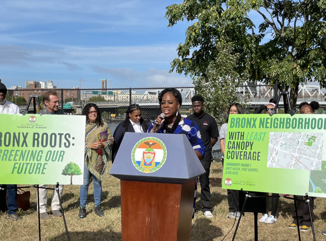 City kicks off Urban Forest Plan to increase tree canopy – Bronx Times