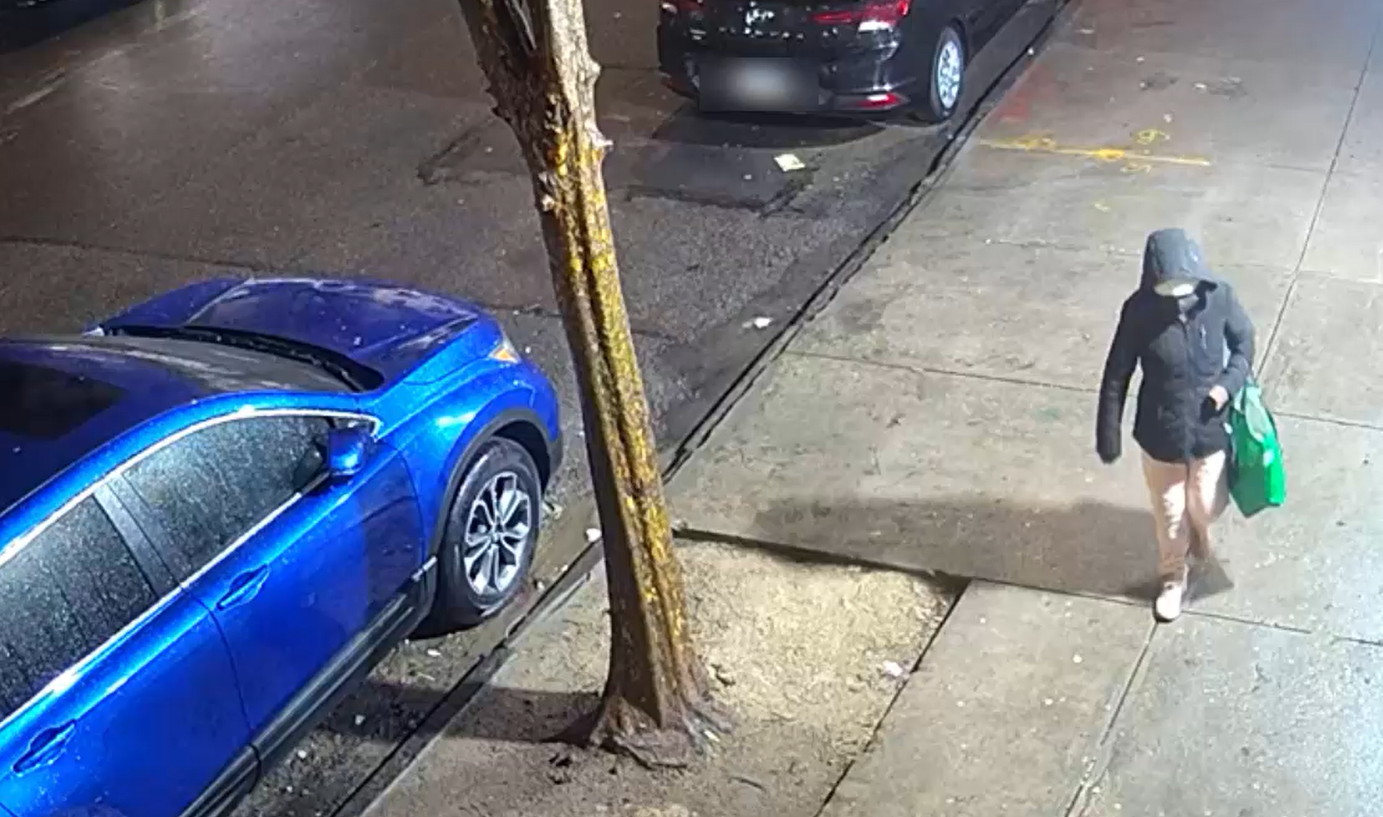 Bronx woman charged with abandoning newborn on Longwood doorstep ...