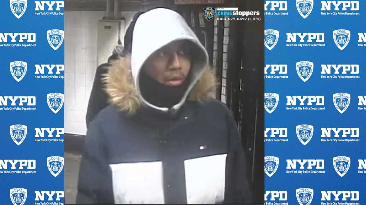 Bronx teen arrested for subway station slashing of 17-year-old girl ...