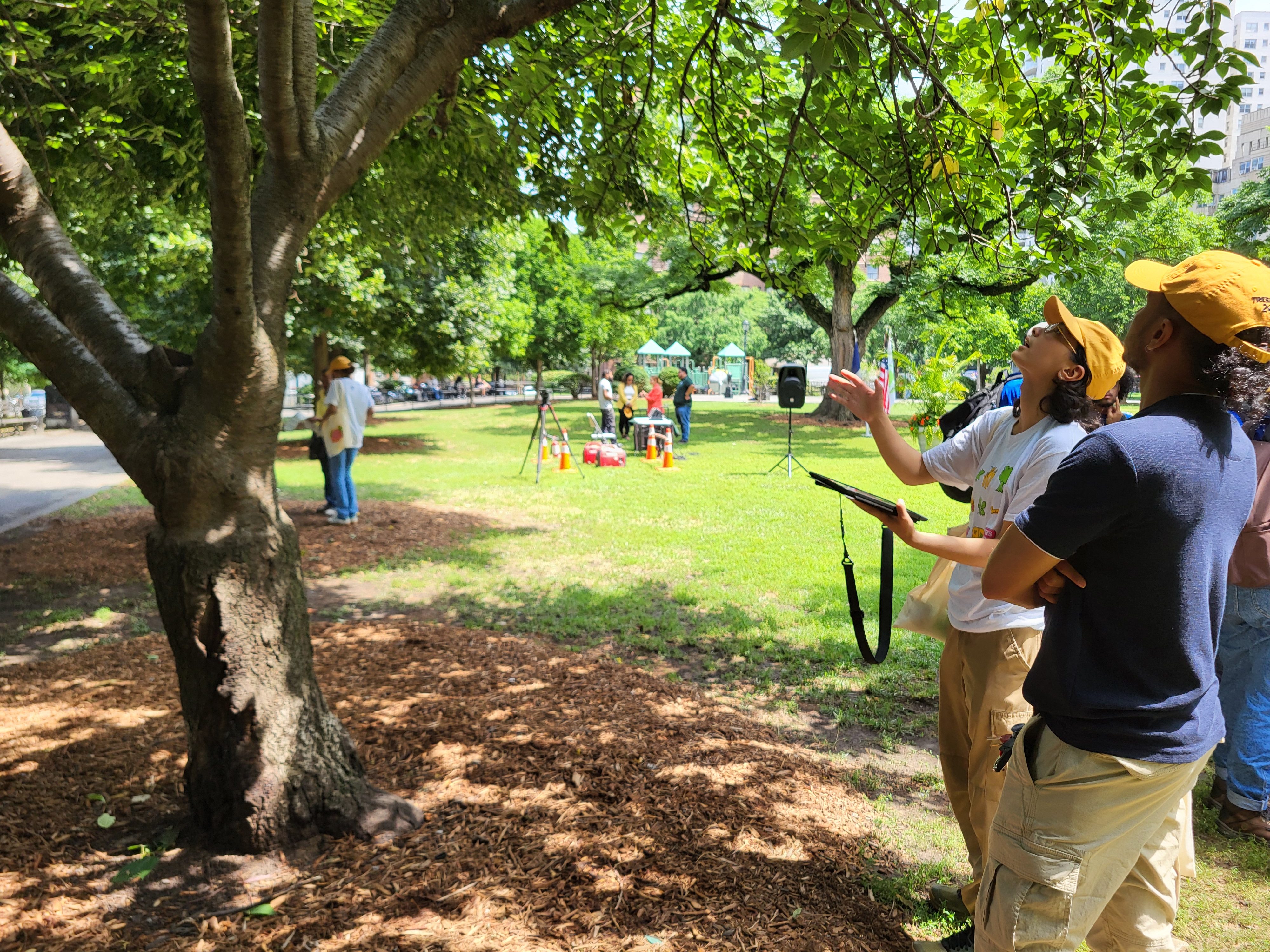 Parks Department kicks off once-per-decade trees census in the Bronx ...