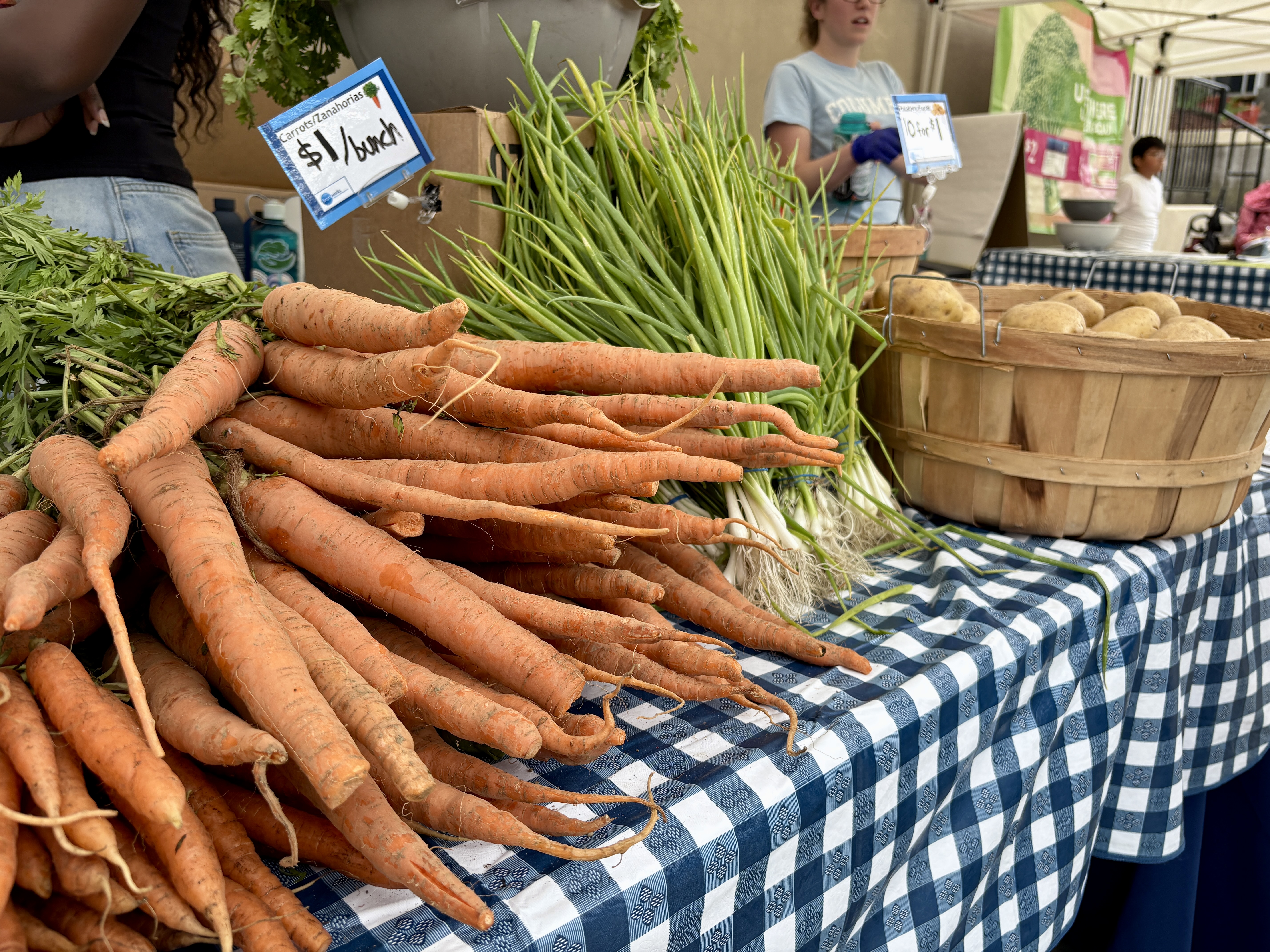 BronxWorks launches eighth season of fresh farm stands – Bronx Times