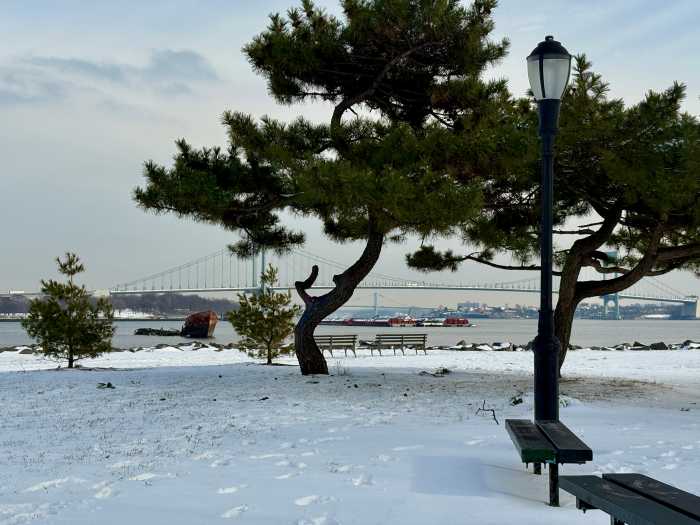 An afternoon with the birders of the Bronx: counting birds for the ...